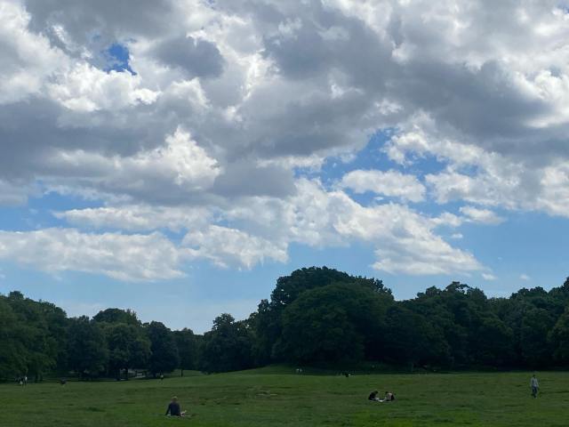 Prospect Park, Brooklyn | Notes from a Composer